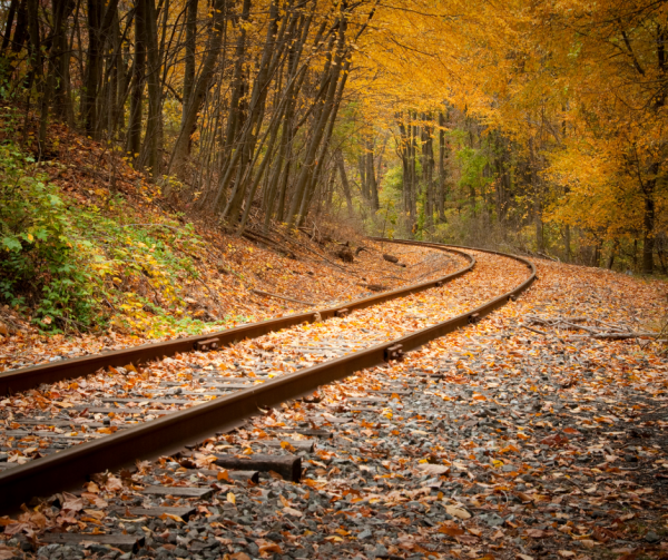 20 Inspiring Fall Photoshoot Ideas - Images by Dena
