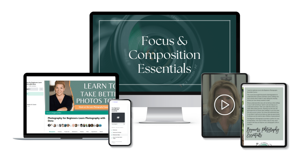 Focus and Composition Essentials Online Course - Images by Dena