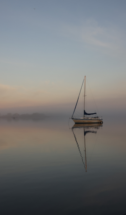 10 Photography Tips and Tricks for Beginners